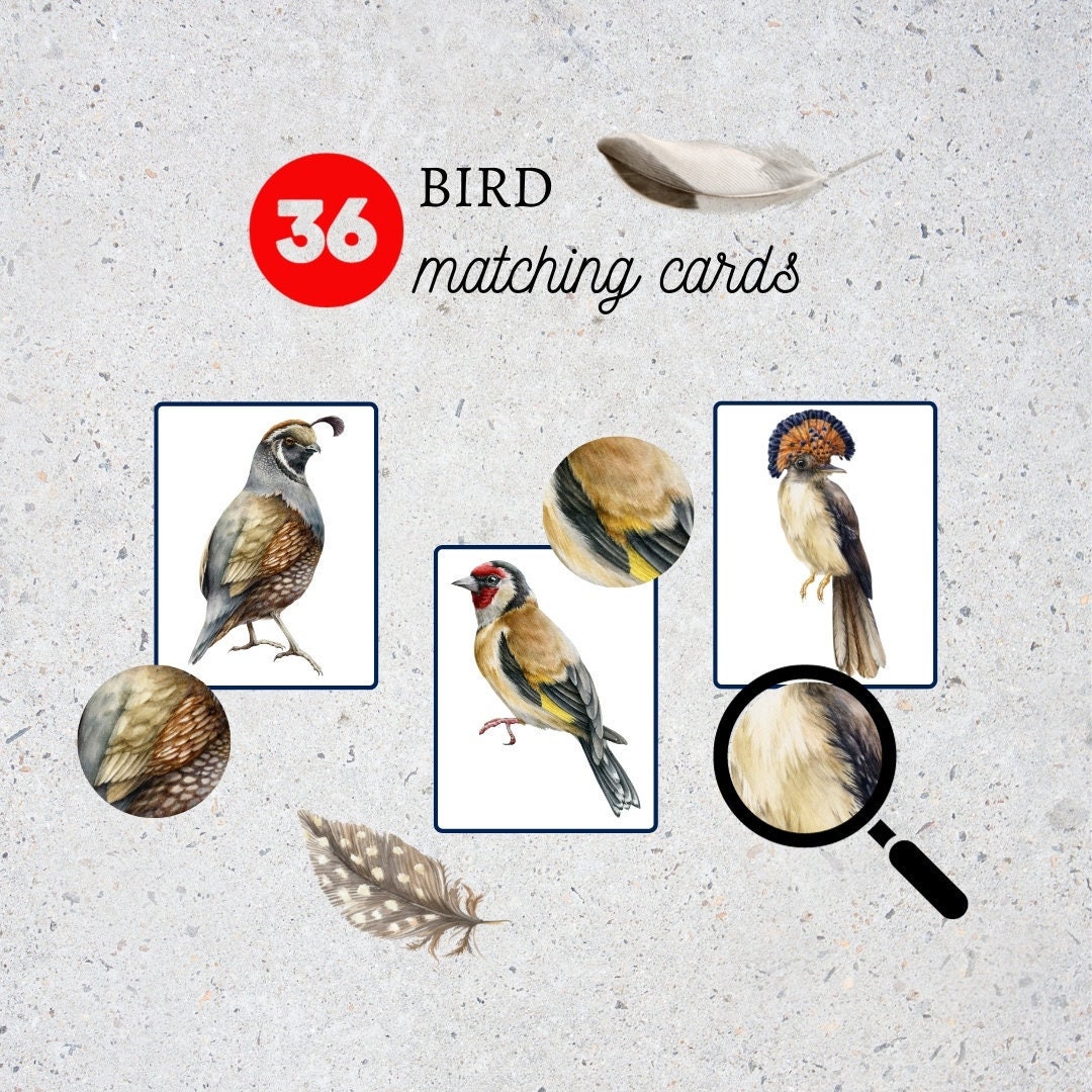 Birds Matching Flashcards|bird Unit Nature Study|winter Birds ...