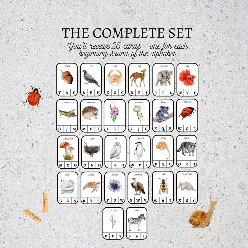 Phonics Flashcardsalphabet ABC Flash Cards for Preschoolmontessori ...