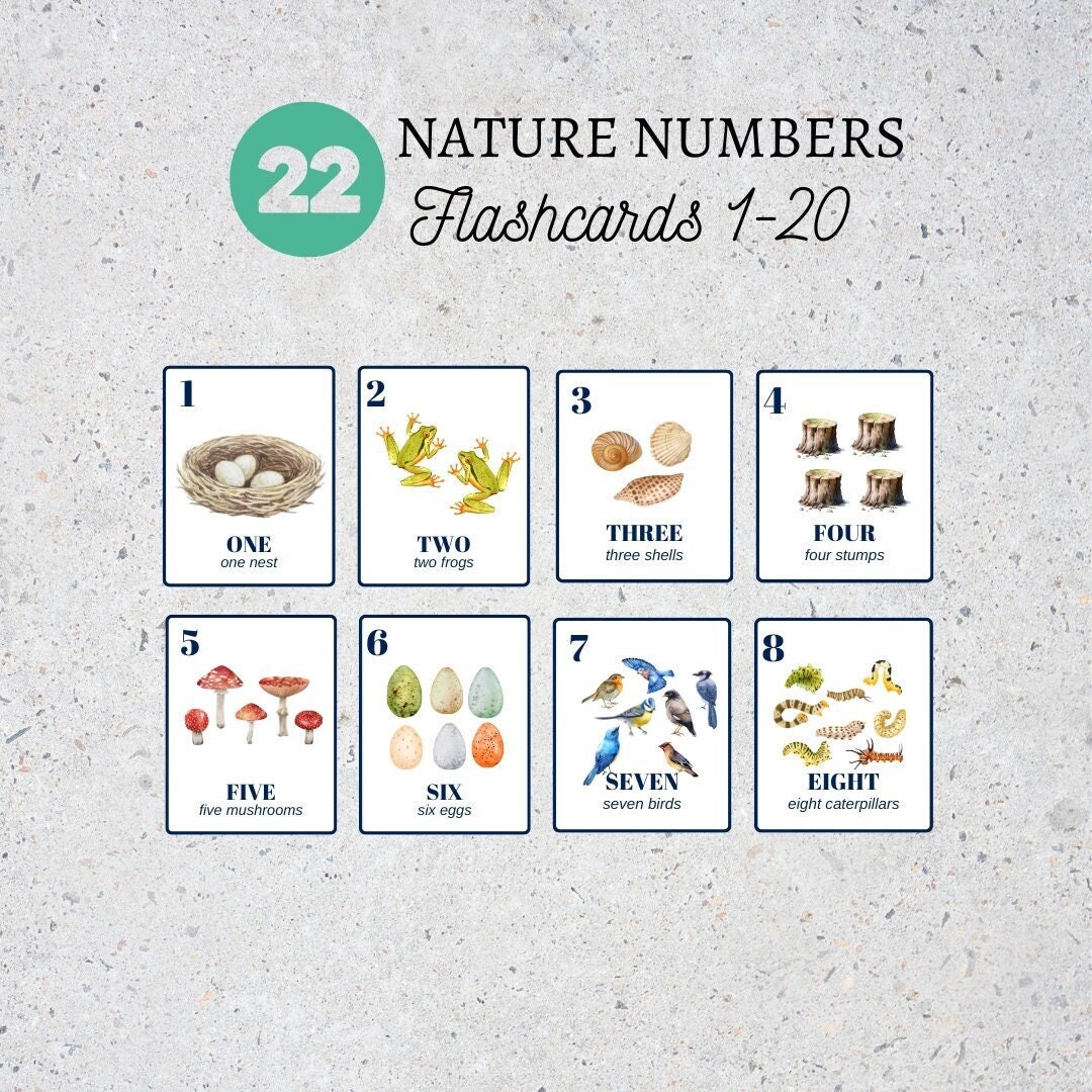 Nature Count and Clip Cards 1-20|number Matching Cards|counting Number ...