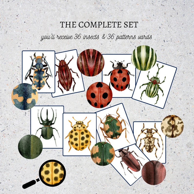 Insect Matching Cardsmontessori Materials Printabletoddler - Etsy