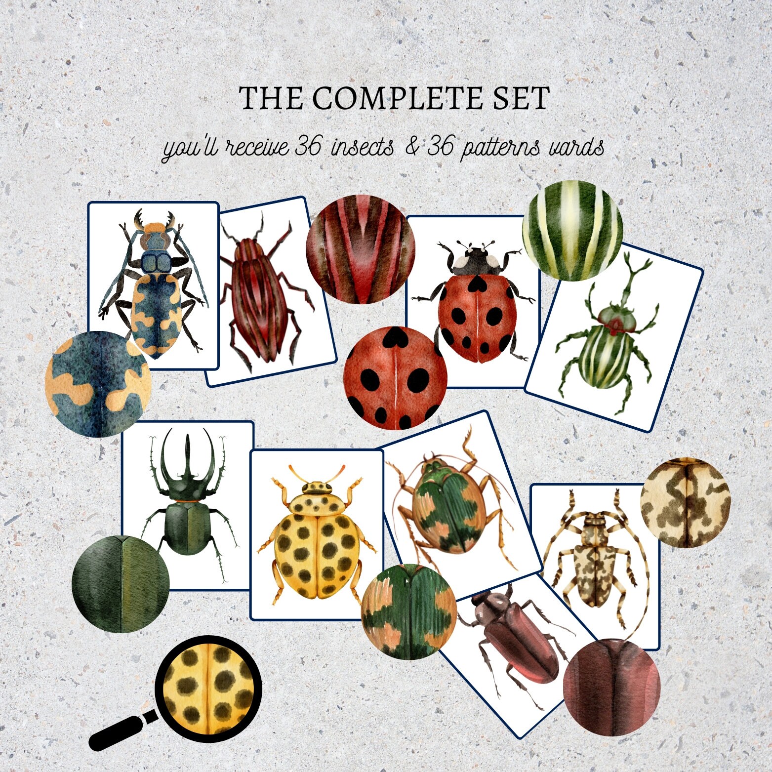 Insect Matching Cards|montessori Materials Printable|toddler Pattern ...