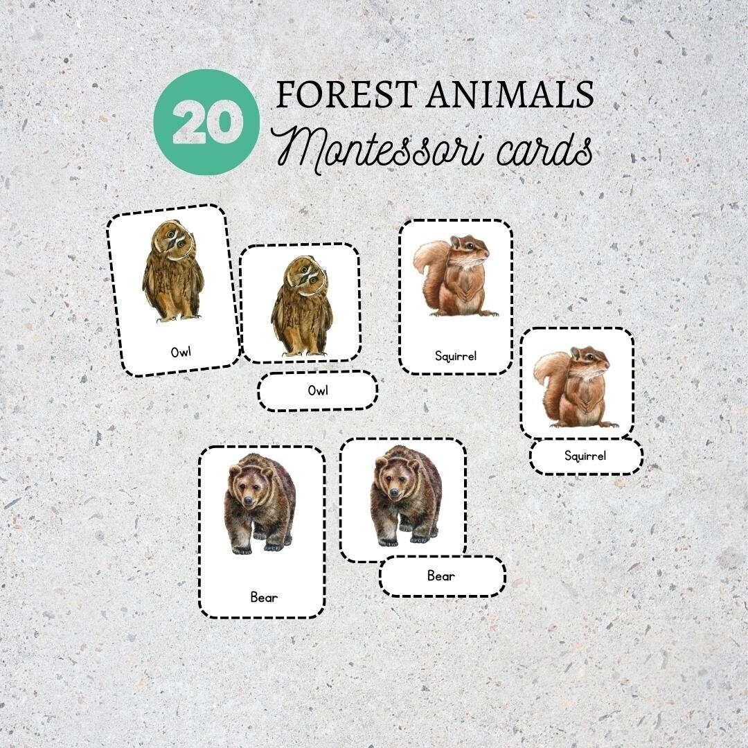 Woodland Animals Flashcards, Kids Printable, Nomenclature Cards ...
