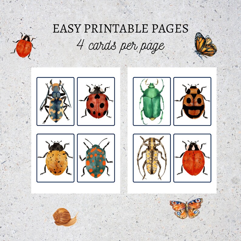 Insect Matching Cards|montessori Materials Printable|toddler Pattern ...