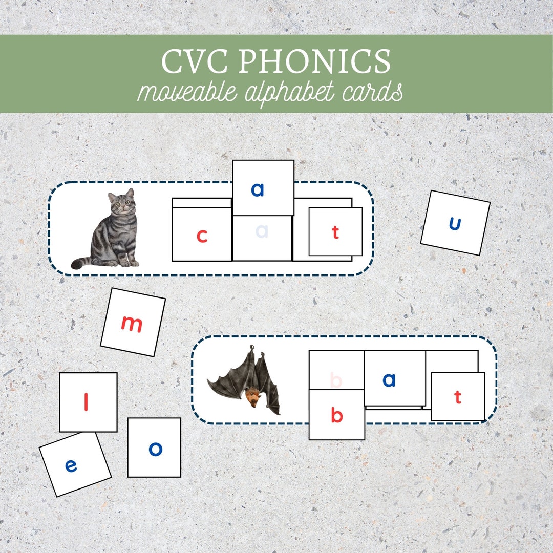 Montessori Printable Moveable Alphabet and CVC Word Matching Cards ...