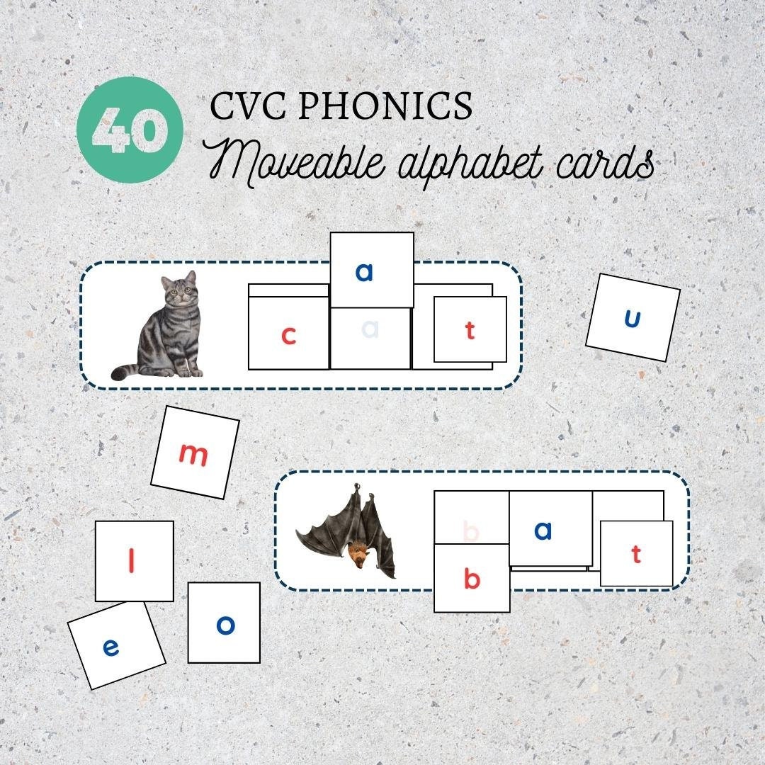 Montessori Printable Moveable Alphabet and CVC Word Matching - Etsy