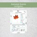 Leaf Observation Worksheets and Fact Cards|autumn Leaves|fall Activity ...