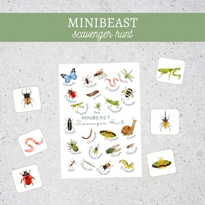Minibeast Scavenger Hunt Printable|insect Checklist|nature Walk|forest School|outdoor Learning ...