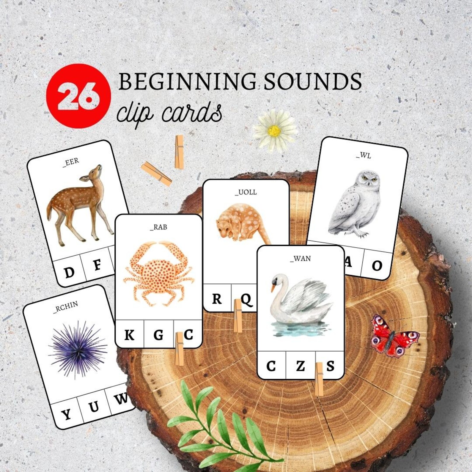 Phonics Flashcards|alphabet ABC Flash Cards for Preschool|montessori ...