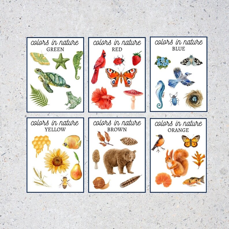 Colors in Nature Flashcardscolor Flashcardsmontessoricolour Nature ...