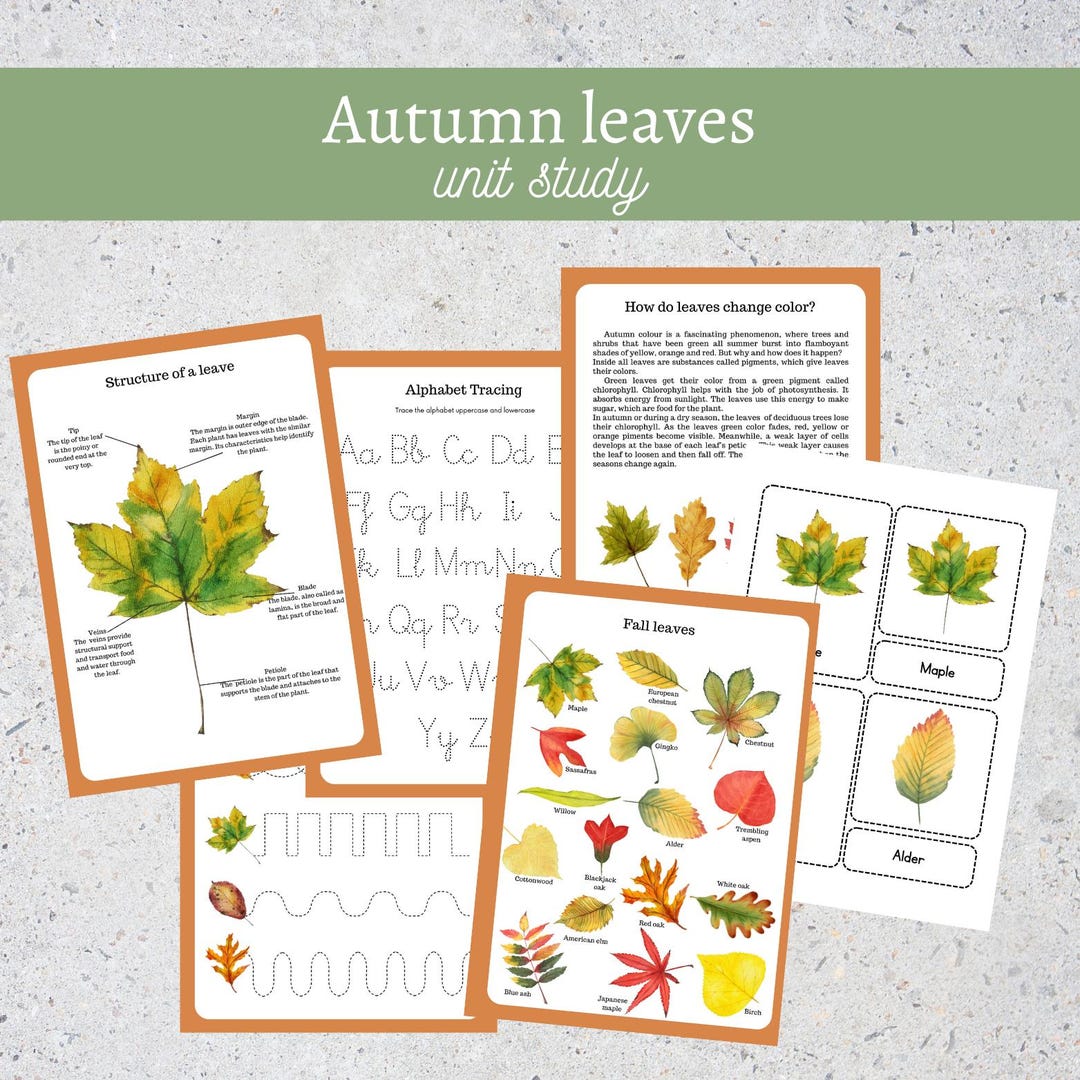 Autumn Leaves Unit Study|fall Worksheet|autumn Study Unit|nature Study ...