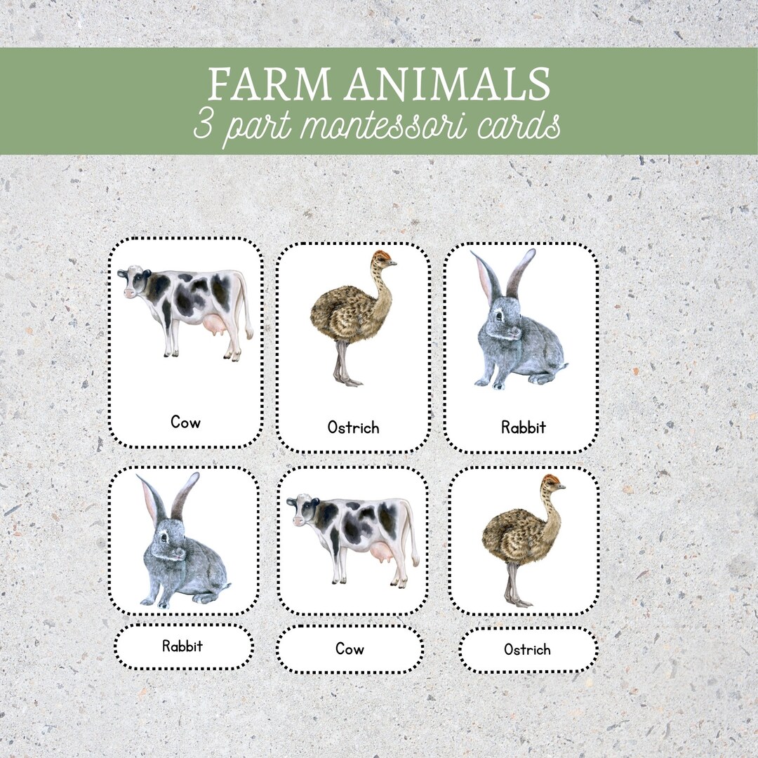 Farm Animal Flashcards Language Cards|3 Part Montessori Nomenclature ...