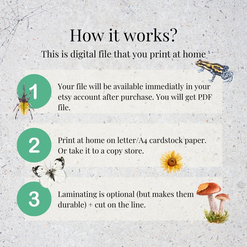 Insect I Spy Printable|insect Learning|mini Beasts Printable|busy ...