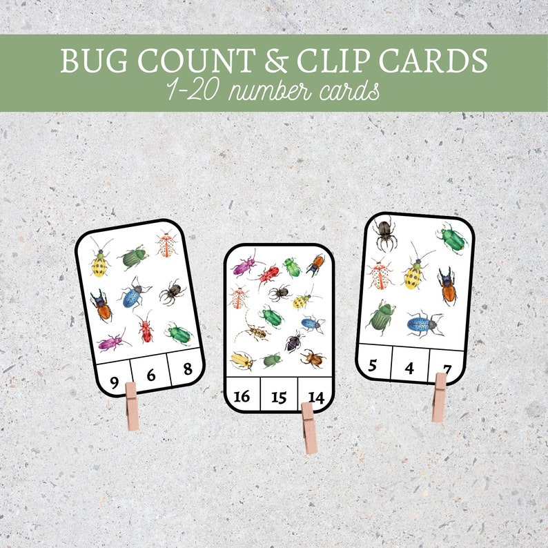 Bugs Count &clip 1-20 Number Cards|nature Homeschool Printables|insects ...