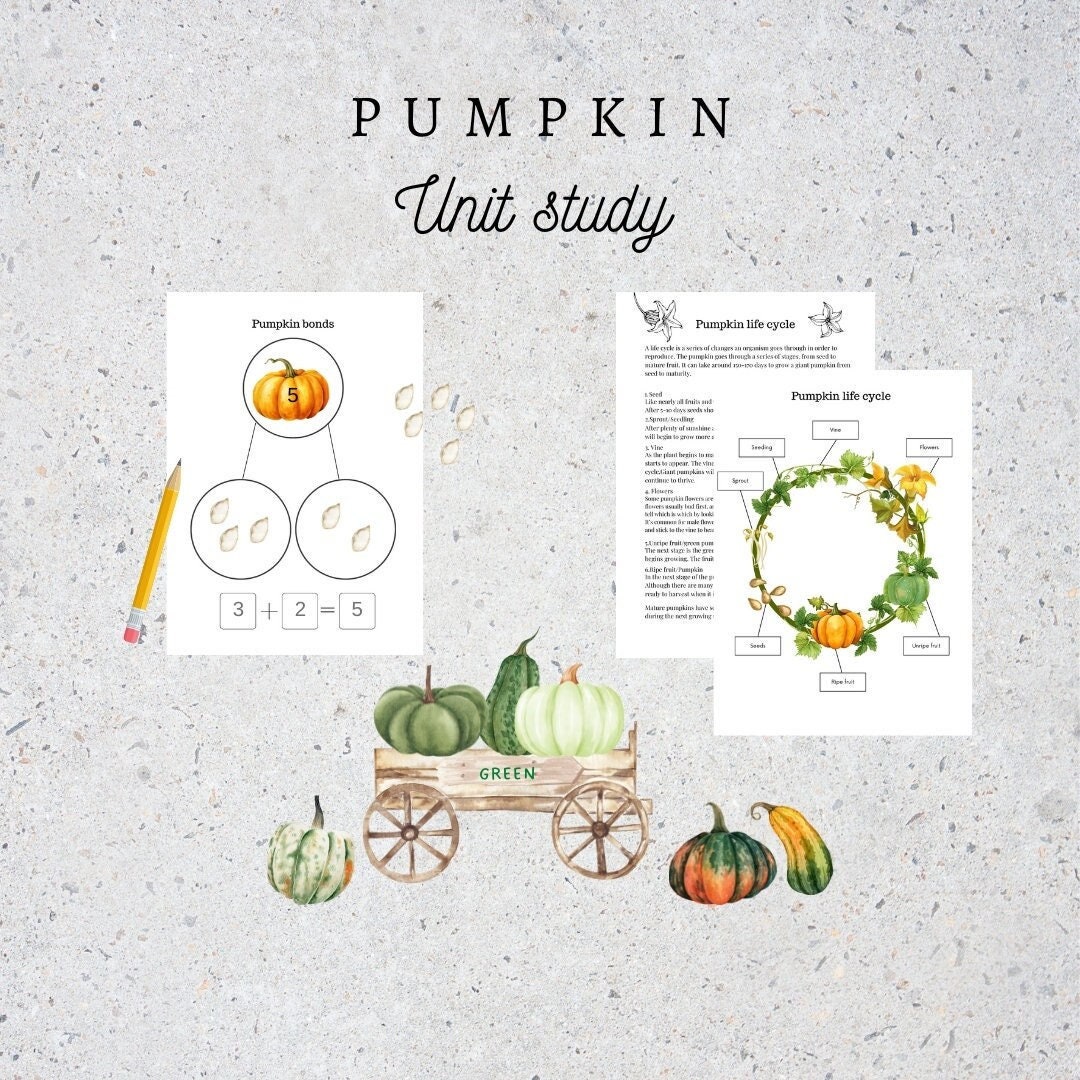 Pumpkin Life Cycle|poster|3-part Cards|unit Study|fall Unit|life Cycle ...
