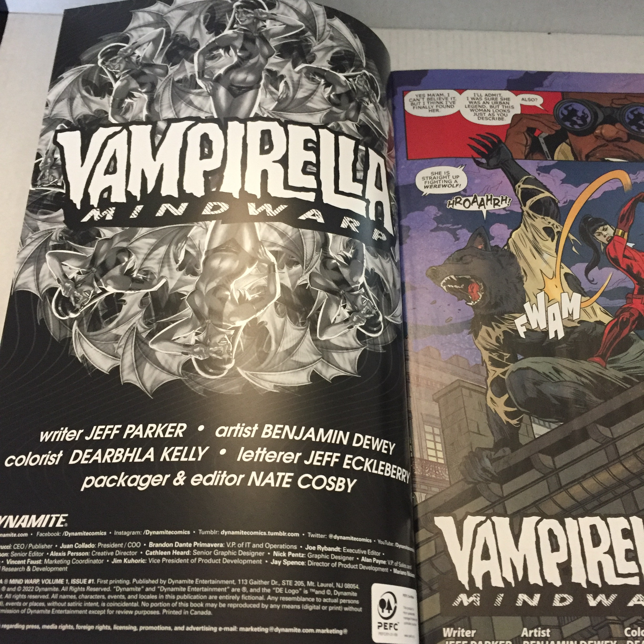 2022 Dynamite Comics Vampirella Mindwarp Katie Baker Ratio - Etsy