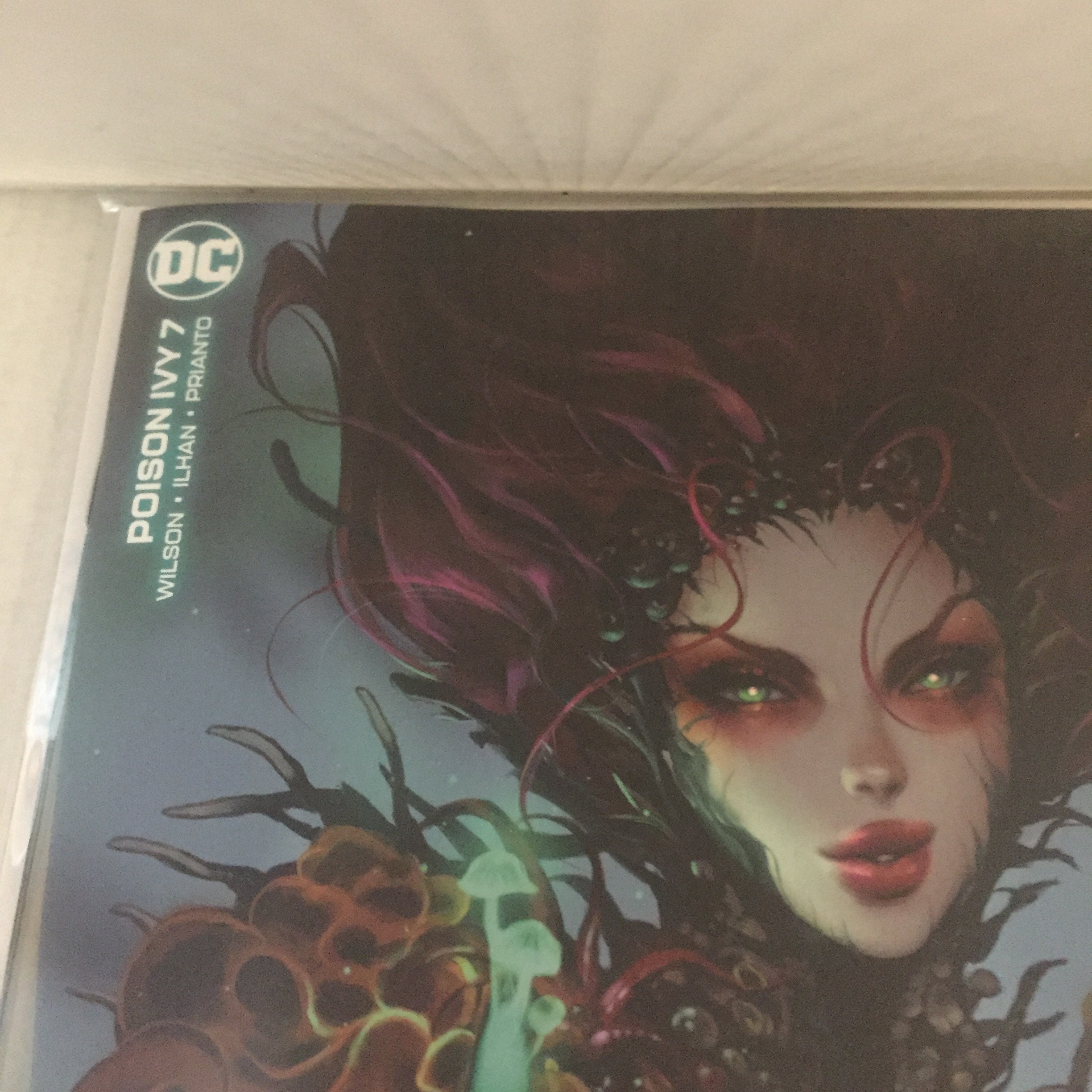 2022 DC Comics Poison Ivy Leirix Li Variant 7 - Etsy