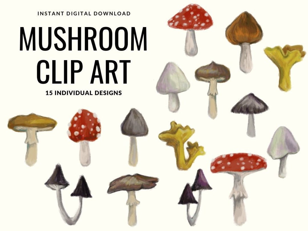 Mushroom Clip Art Bundle, Digital Download, PNG - Etsy
