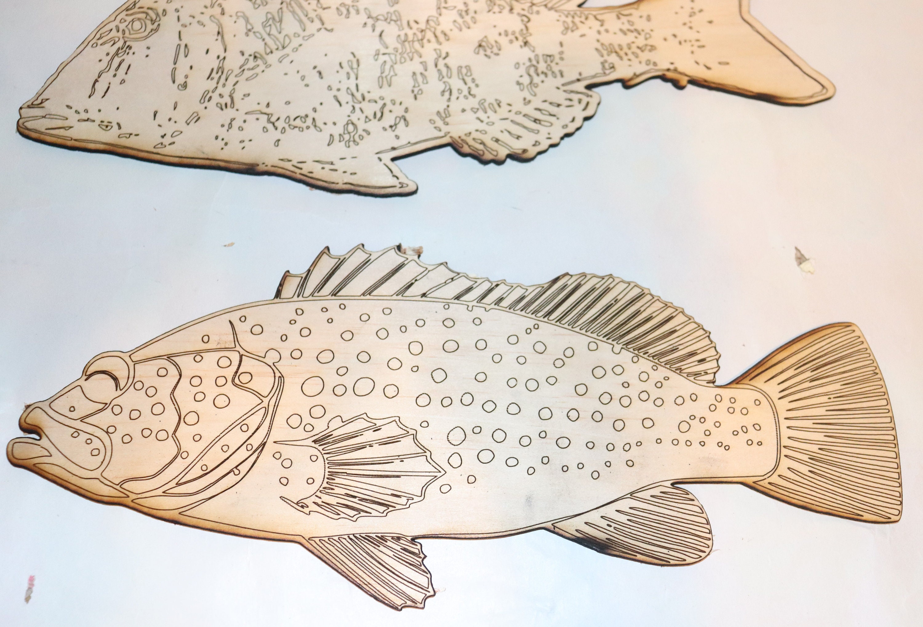 3 Pack Fish Cutouts Art Lasercut Coral Trout, Spangled Emperor, Rankin ...