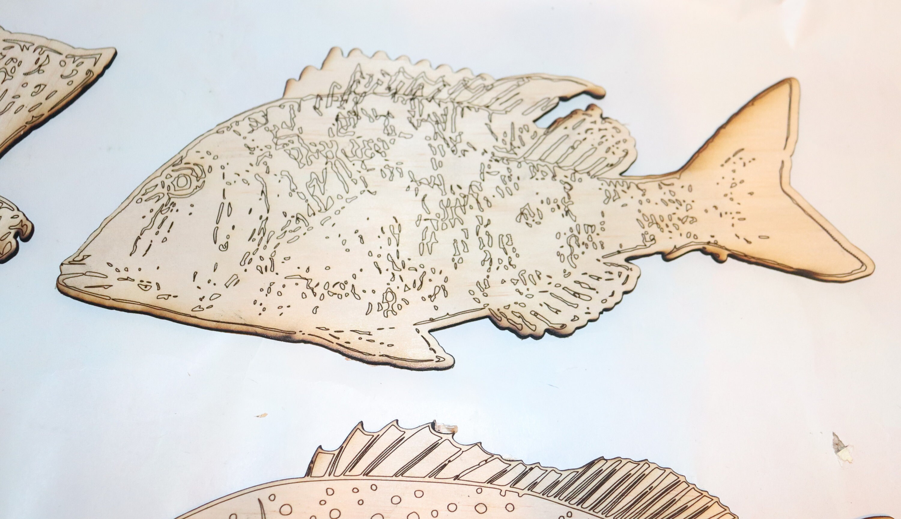 3 Pack Fish Cutouts Art Lasercut Coral Trout, Spangled Emperor, Rankin ...