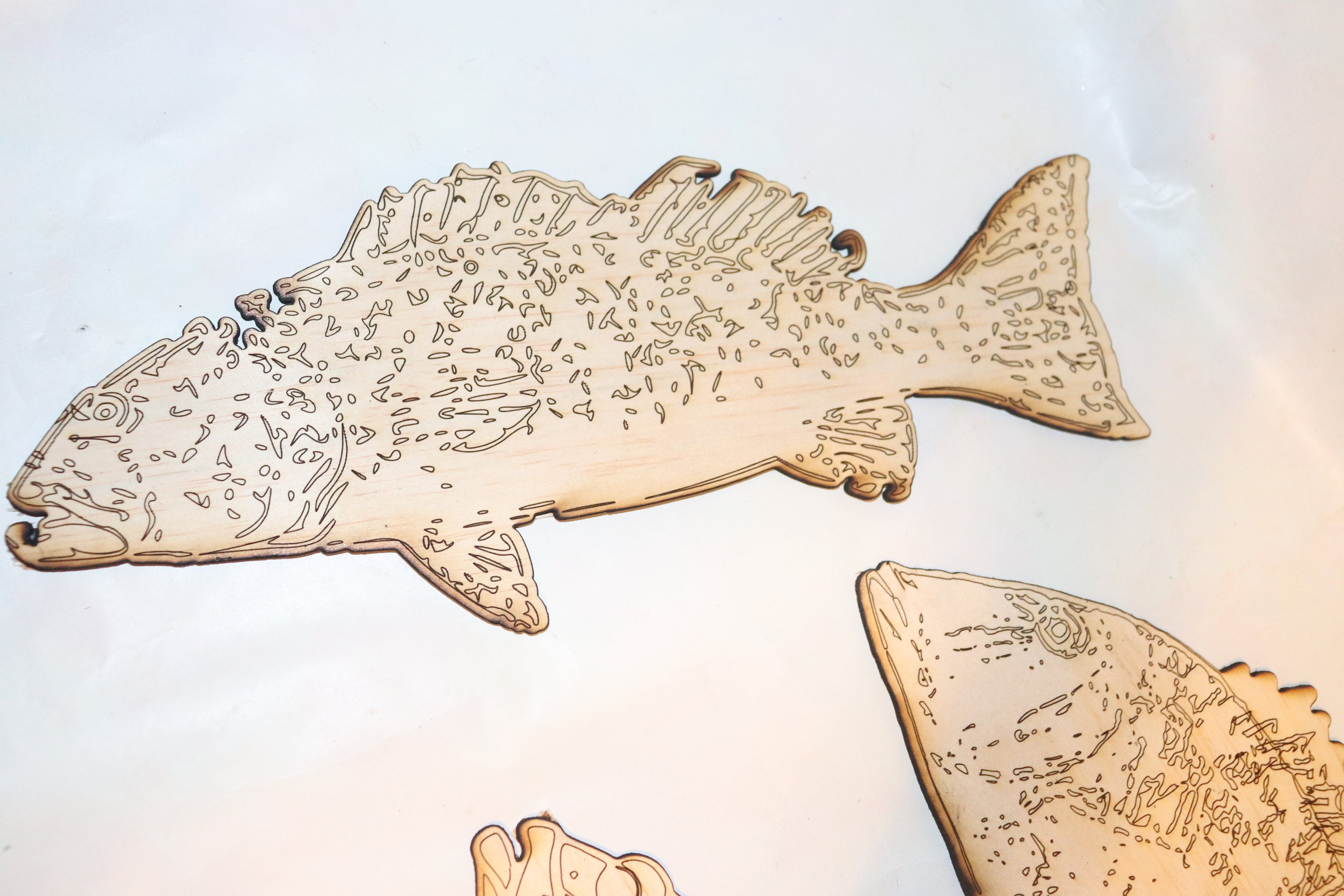 3 Pack Fish Cutouts Art Lasercut Coral Trout, Spangled Emperor, Rankin ...