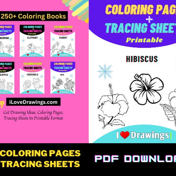 Hibiscus Coloring Page - Etsy