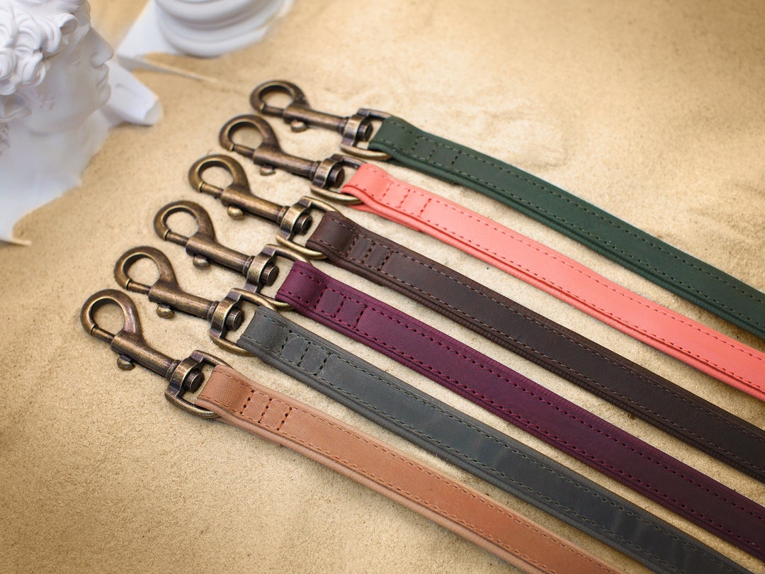 Personalized Dog Leash, Leather Dog Leash With Handle, Custom Pet Leash ...