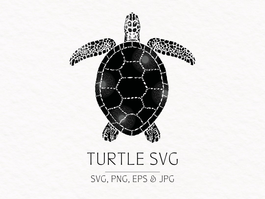 Turtle SVG | Sea Turtle Svg | Png EPS & Jpg | Vector Files | Sea Turtle ...