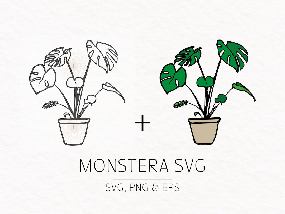 Monstera SVG | Line Art Monstera | Botanical Svg | Monstera Plant Svg ...