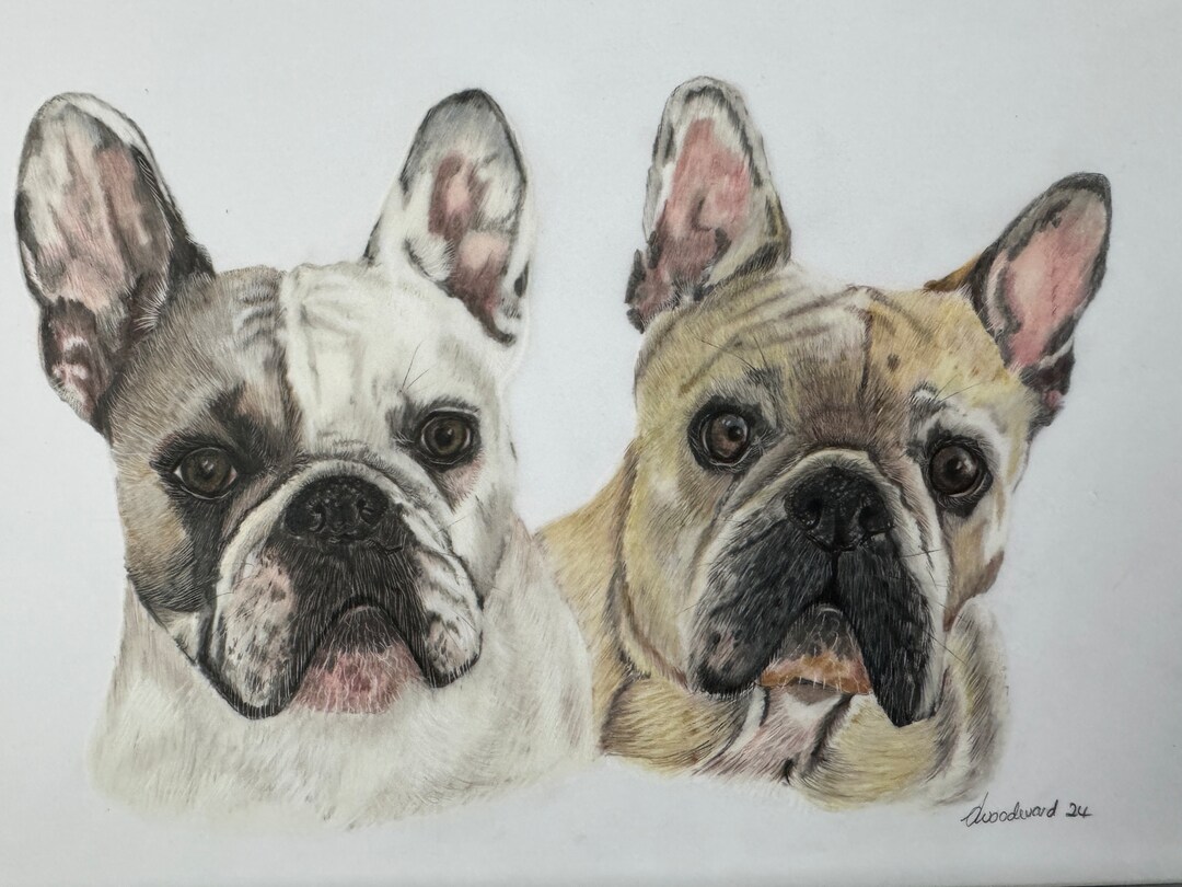 A4 Realistic Double Pet Portrait - Etsy