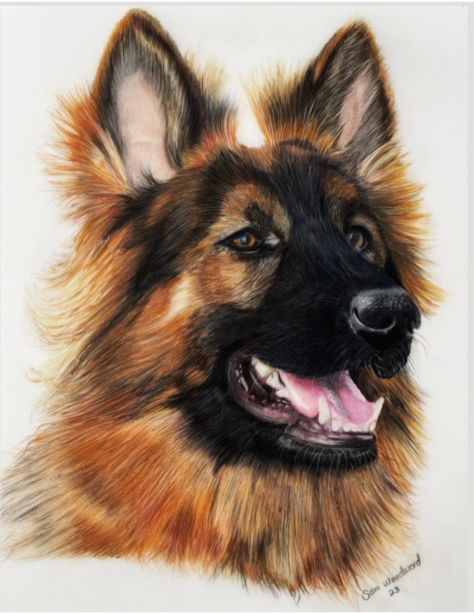 A4 Realistic Pet Portraits - Etsy