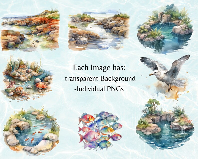 Watercolor Tidal Pool Clip Art Ocean Seascape Beach Clipart - Etsy
