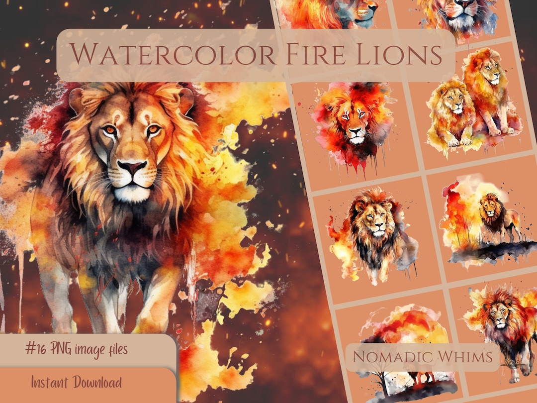 Fiery Lion Clipart Bundle - 15 Bold Images of Majestic Fire Lions ...