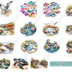 Watercolor Tidal Pool Clip Art, Ocean Seascape, Beach Clipart, Instant ...