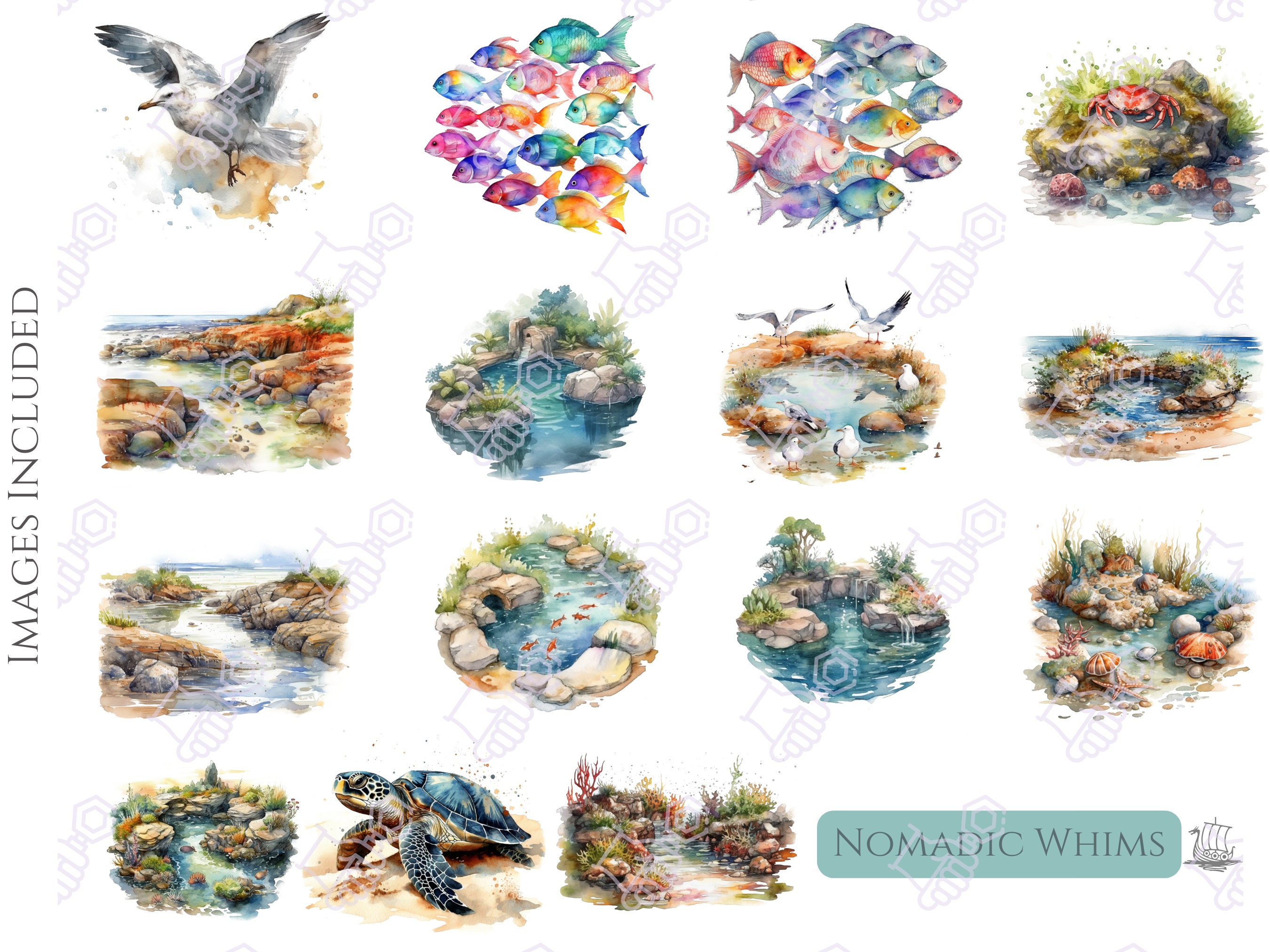 Watercolor Tidal Pool Clip Art, Ocean Seascape, Beach Clipart, Instant ...