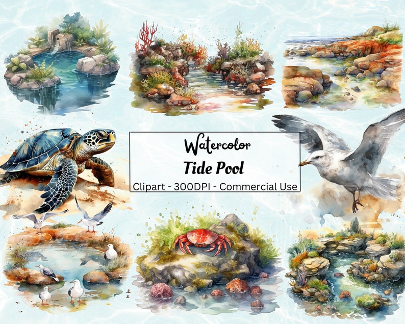 Watercolor Tidal Pool Clip Art Ocean Seascape Beach Clipart - Etsy