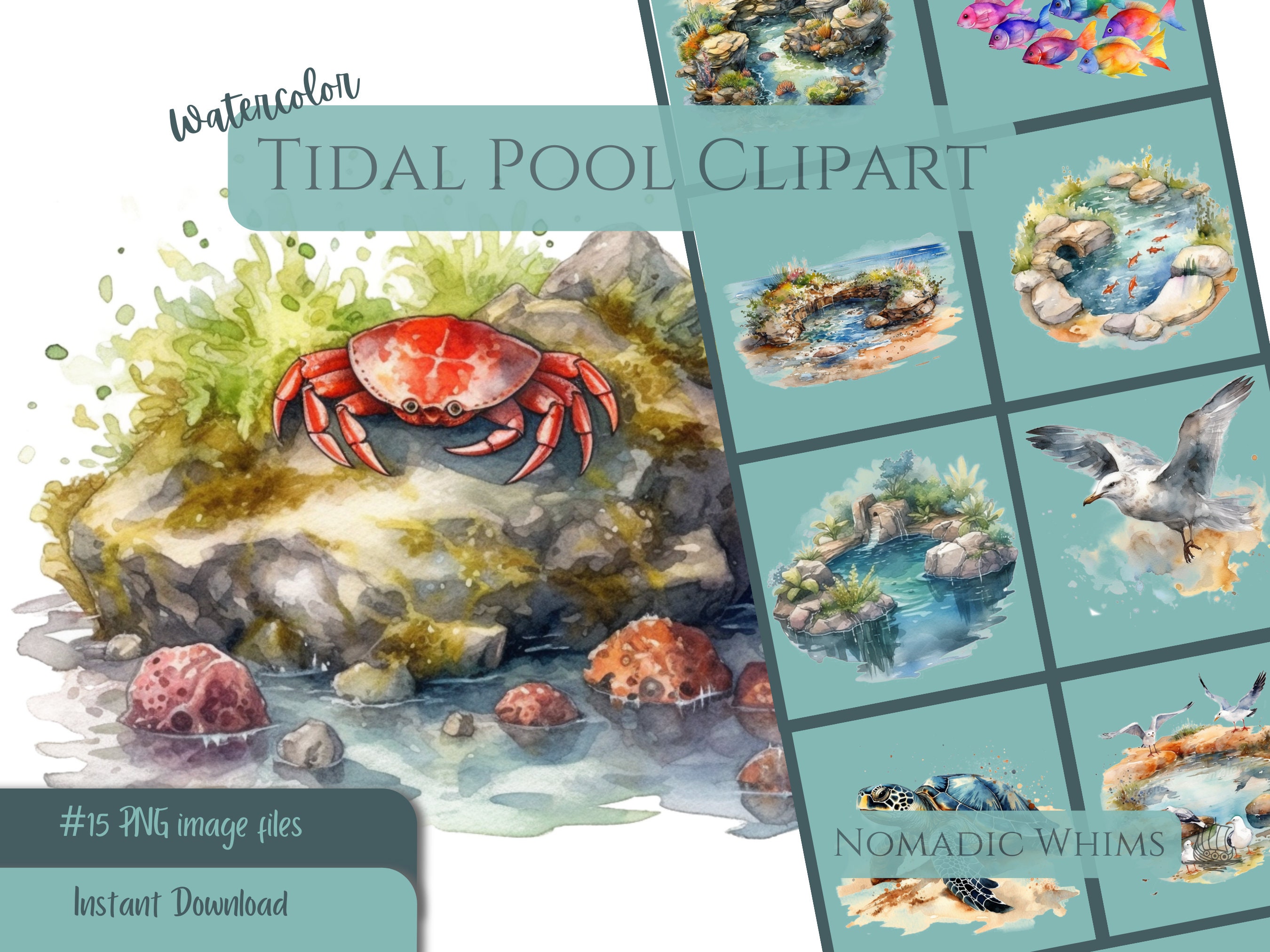 Watercolor Tidal Pool Clip Art, Ocean Seascape, Beach Clipart, Instant ...