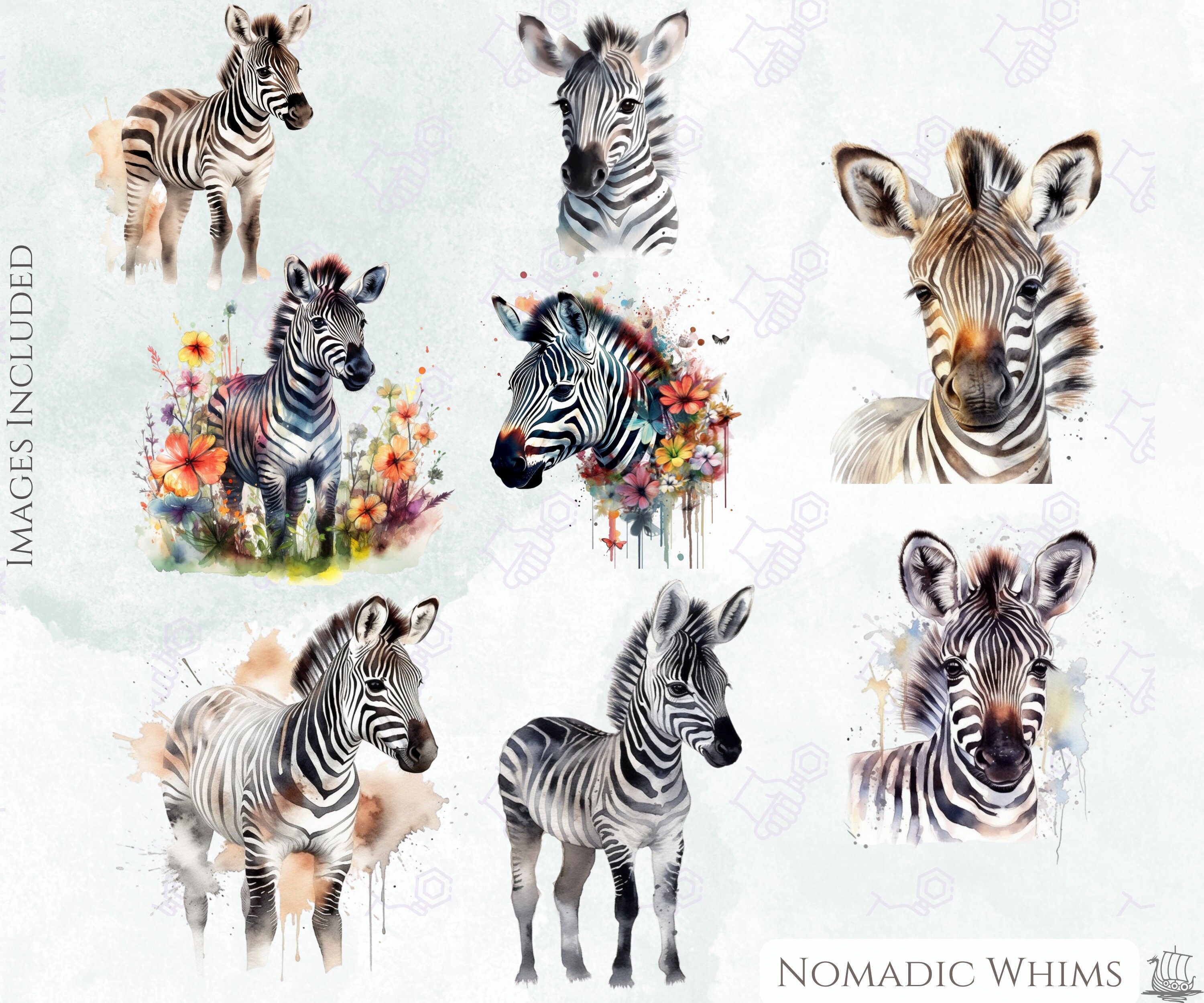 Watercolor Baby Zebras - Set of 14 High Quality PNG Images, Cute Zebra ...