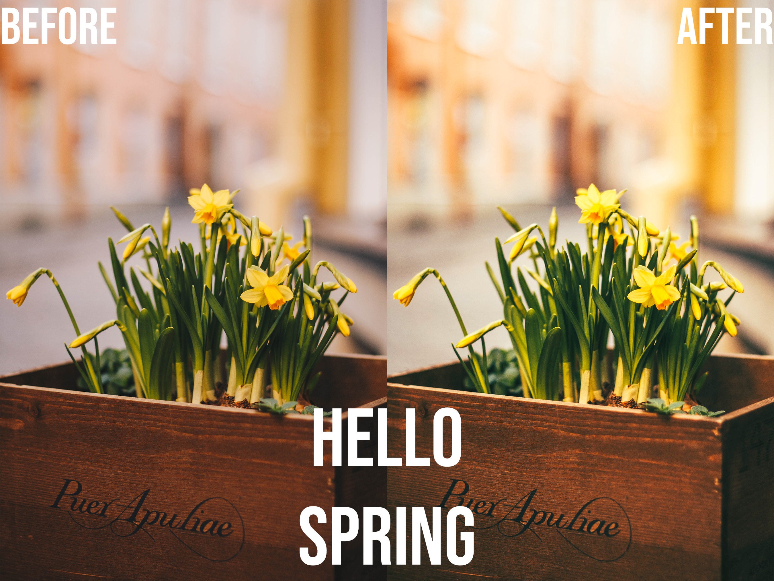 10 HELLO SPRING PRESETS Mobile & Desktop Spring Preset Instagram ...