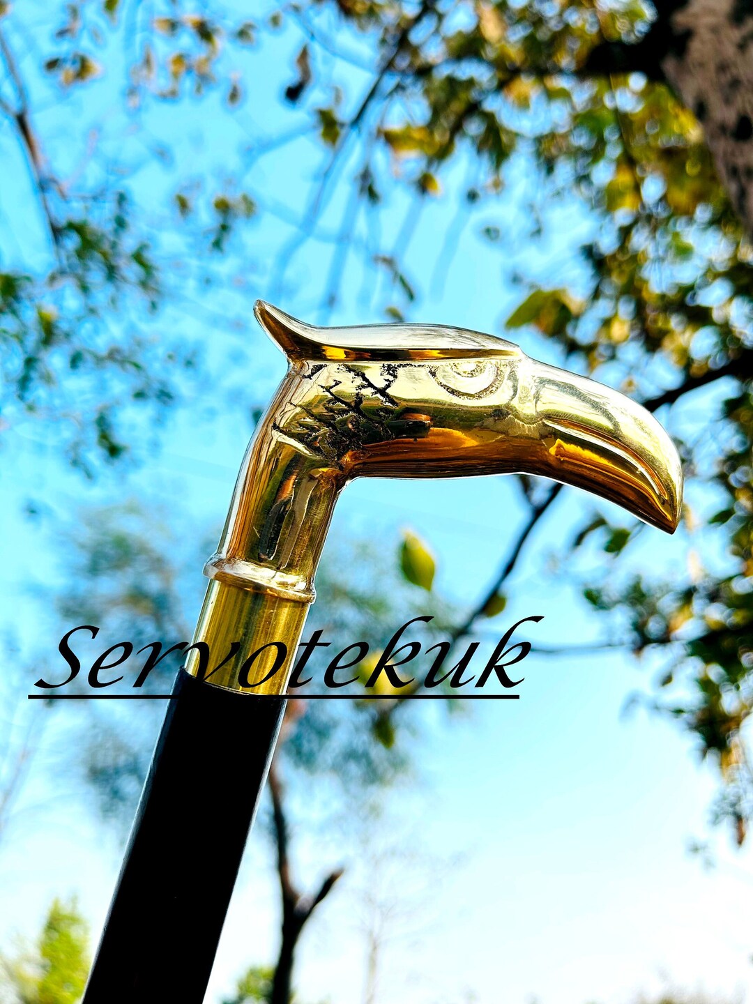 Brass Eagle Handle Walking Stick Cane for the Adventurous Spirit ...