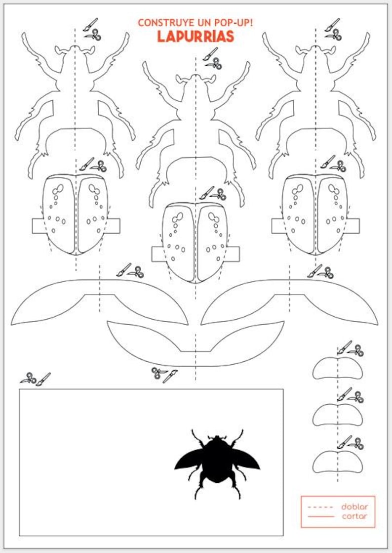 Pop-up Paper Beetle Template / Printable PDF and SVG for Cricut or ...