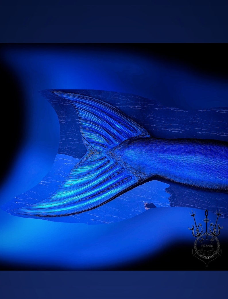 Long Fish Mermaid Tail, Extended Mermaid Tail, Full Silicon Mermaid ...