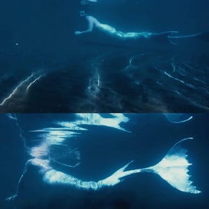 Long Fish Mermaid Tail, Extended Mermaid Tail, Full Silicon Mermaid ...
