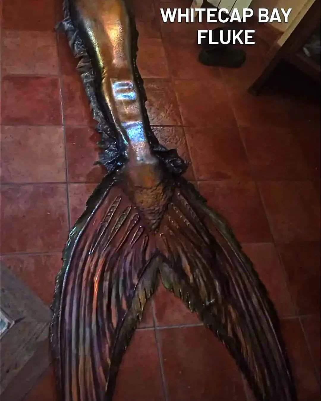 Full Silicon Mermaid Tail, Light Weight Mermaid Tail, Pirate Mermaid ...