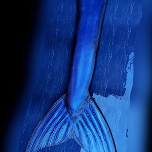 Long Fish Mermaid Tail, Extended Mermaid Tail, Full Silicon Mermaid ...