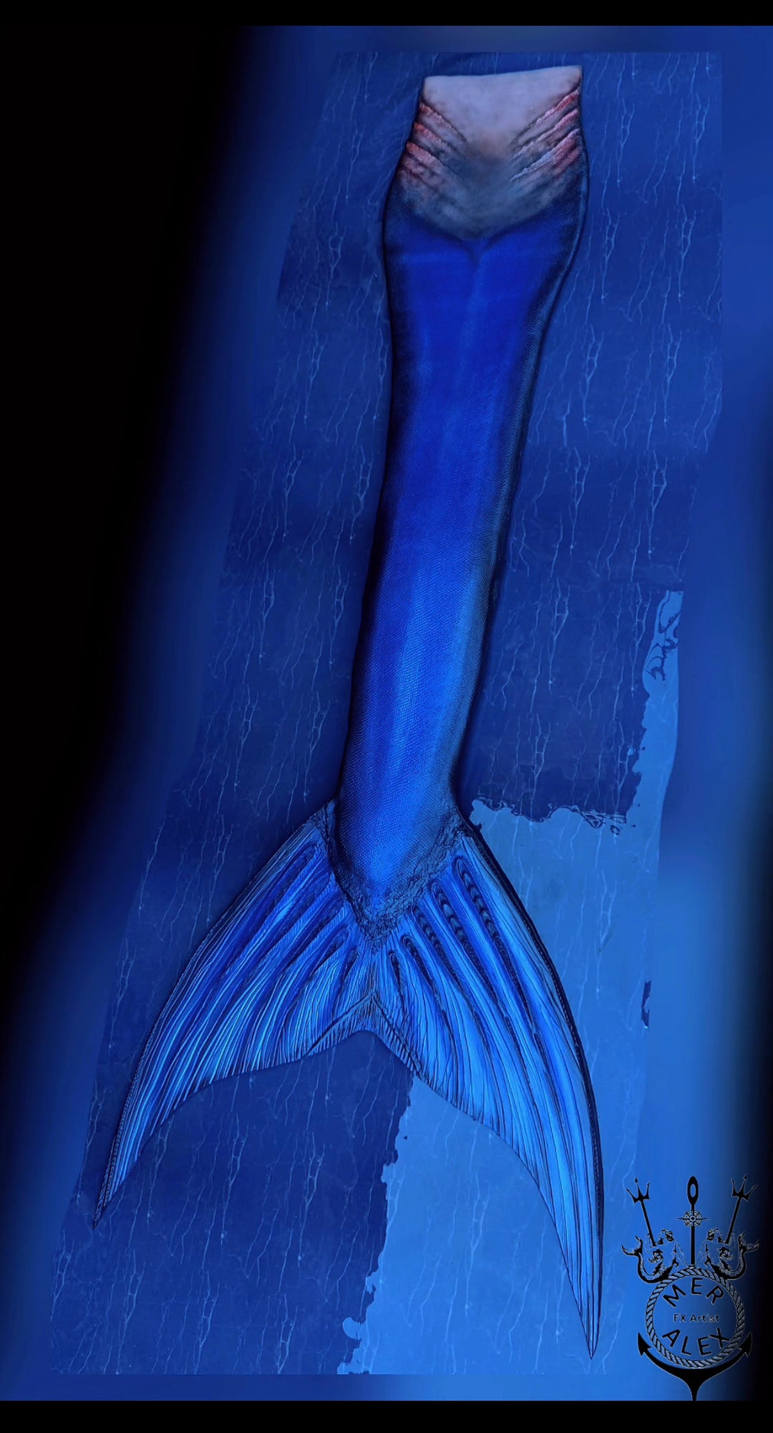 Long Fish Mermaid Tail, Extended Mermaid Tail, Full Silicon Mermaid ...