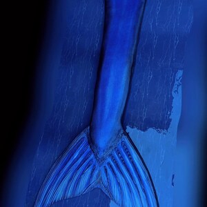 Long Fish Mermaid Tail, Extended Mermaid Tail, Full Silicon Mermaid ...