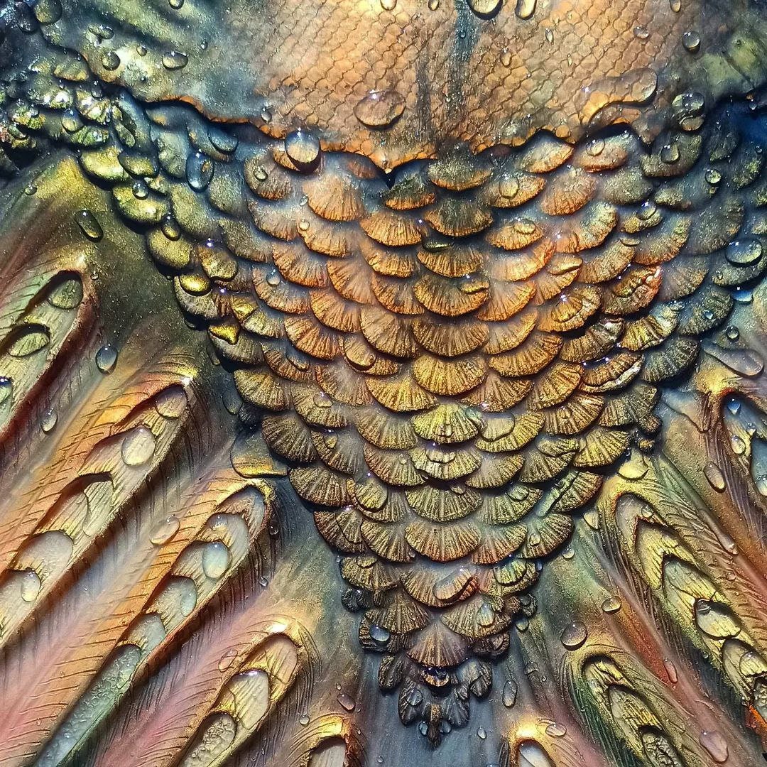 Full Silicon Mermaid Tail, Mermaid Tail, Pirate Mermaid Tail, Mermaid ...