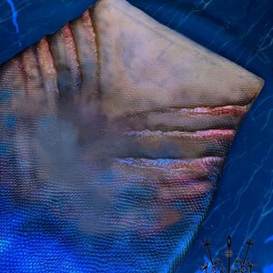 Long Fish Mermaid Tail, Extended Mermaid Tail, Full Silicon Mermaid ...