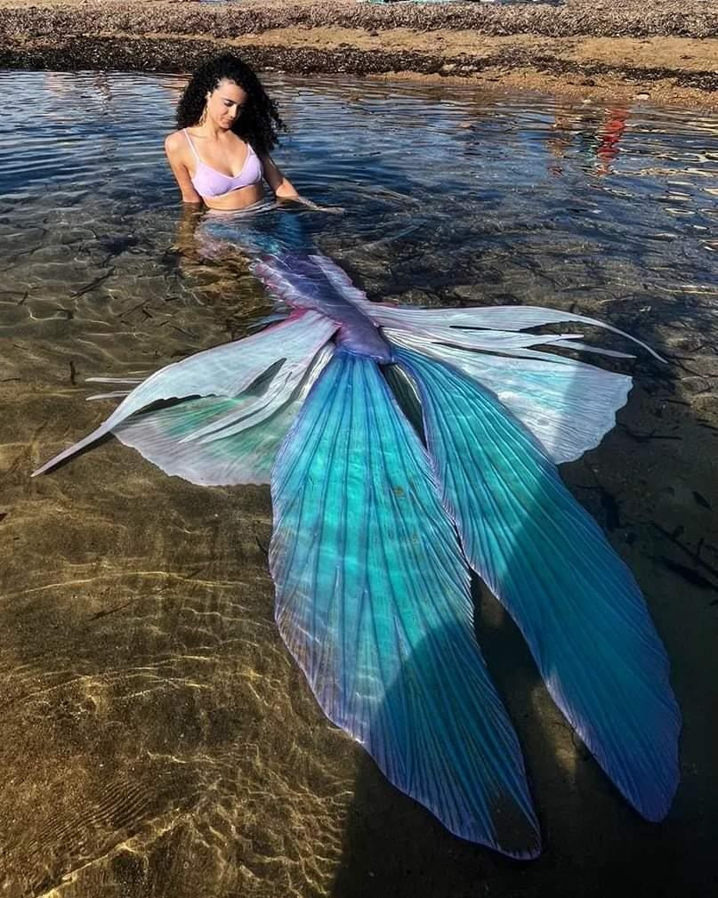 Full Silicon Mermaid Tail, the Little Mermaid Tail, Mermaid Tail, Ariel ...