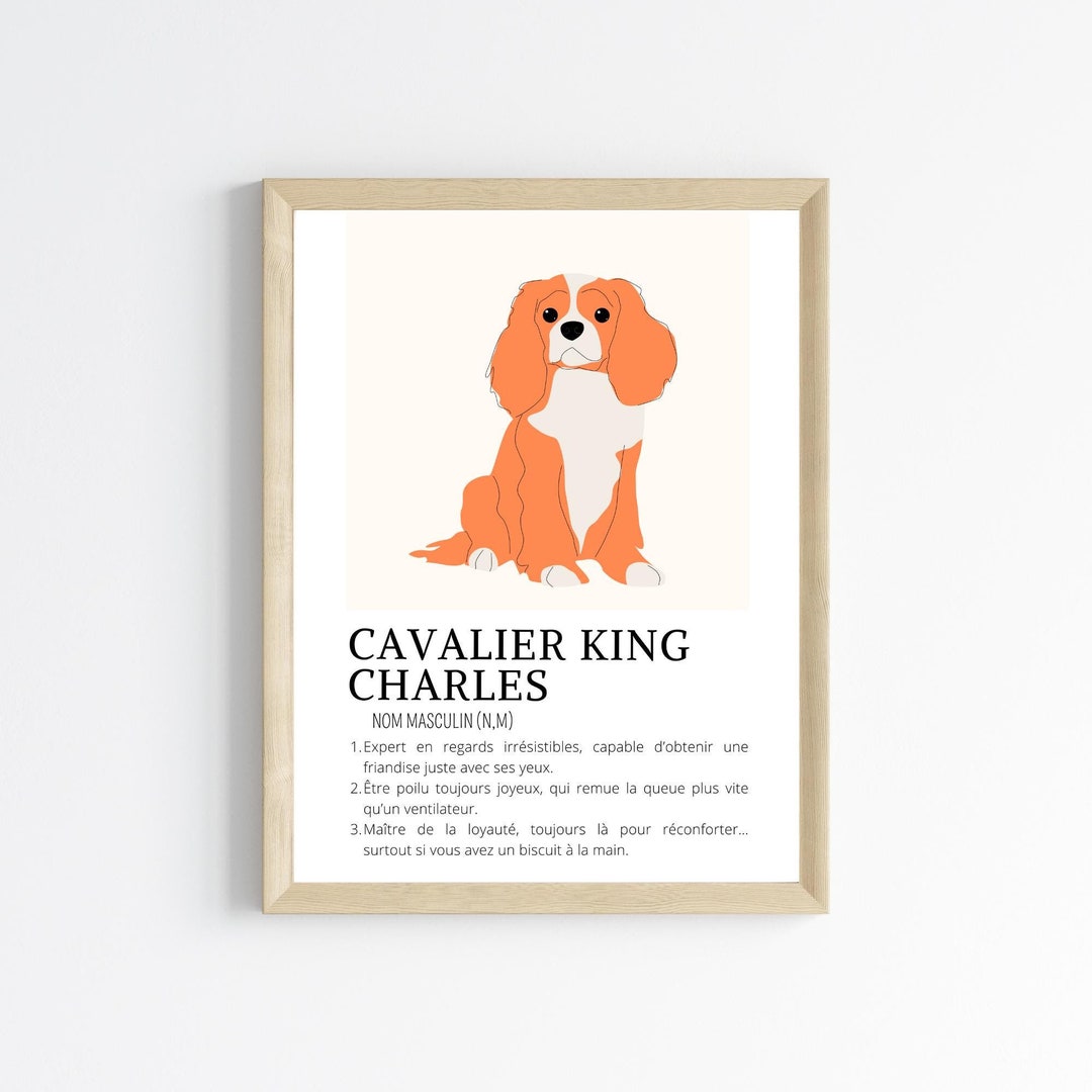 Cavalier King Charles Definition Poster - Dog Fan Decoration - Cavalier ...